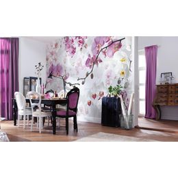 Fototapete Komar "Allure", rosa (rosa,weiß), B:400 H:260, Vlies, Tapeten, 400 x 260 cm (Breite x Höhe) - Tapete, Vlies, Wohnzimmer, Schlafzimmer