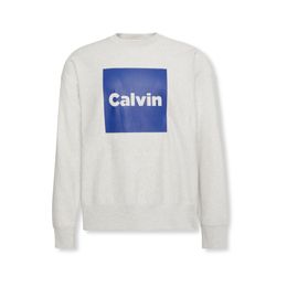 Calvin Klein Jeans Sweatshirt Herren Gr&ouml;&szlig;e XS hellgrau / dunkellila