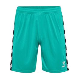 Hummel Shorts Herren Größe XS cyanblau