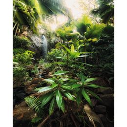 Fototapete Komar "Digitaldruck Vlies - Spirit - Größe 200 x 250 cm", bunt, B:2 L:2,5, Vlies, Tapeten, Kinderzimmer