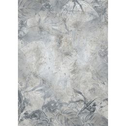 Vliestapete Komar "Digitaldruck Vlies - Flower Fossil - Gr&ouml;&szlig;e 200 x 280 cm", blau (blau, silber, grau), B:200m L:280m, Vlies, Tapeten, Wohnzimmer, Schlafzimmer