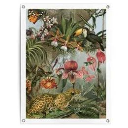 Poster Reinders "Dschungelblumen", grün (farbe bild(er): grün), B:60cm H:80cm T:0,1cm, Leinwand, Bilder, Outdoor für Garten oder Balkon