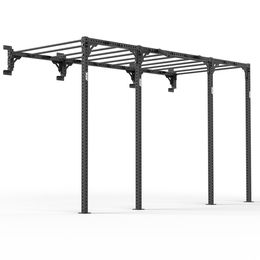 ATX Functional WALL RIG 700 - Ladder 3