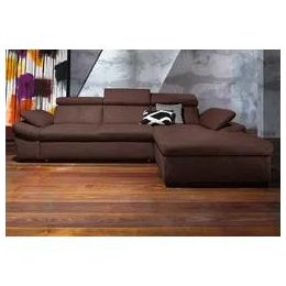 Ecksofa exxpo - SOFA FASHION "Salerno, klassisch modernes Funktionssofa, hoher Sitzkomfort, L-Form", braun (dunkelbraun), B:280cm H:77cm T:170cm, Microfaser-Primabelle (100% Polyester);NaturLEDER;Kunstleder;Lederfaserstoff;Luxus-Microfaser Lederoptik, Sofas, inkl. Kopf- und Armteilverstellung, wahlweise mit Bettfunktion