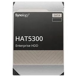 Synology interne HDD-Festplatte "HAT5300 12TB", schwarz, 12 TB, Festplatten
