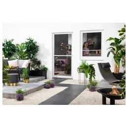 Insektenschutzplissee Hecht INTERNATIONAL "Compact", weiß (gewebe: schwarz, rahmen: weiß, weiß, weiß), B:150 H:130, Plissees, flächenversetzt, 130x150 cm, weiß, kürzbar