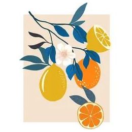 Bild Komar "Illustration Finest Fruits", bunt (farbe bild(er): bunt), B:40cm H:50cm, Holz, Papier, Bilder, Wandbild zur Dekoration - ohne Rahmen