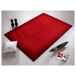 Wollteppich OCI DIE TEPPICHMARKE "Vinciano Tami" Gr. 6, rot (dunkelrot), B:200cm H:8mm L:300cm, Wolle, Teppiche, reine Wolle, handgeknüpft, Wohnzimmer