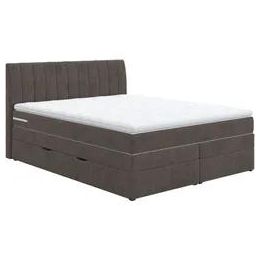 Boxspringbett COTTA "Shark inkl. Bettkasten und Topper", braun (mud), B:186cm L:212cm, 100% POLYESTER (PES), Komplettbetten, erhältlich in den Breiten 140x200cm, 160x200cm und 180x200cm, Topseller