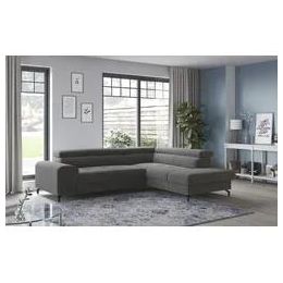 Ecksofa COTTA "Aura L-Form, B: 260 cm", grau (anthrazit), B:260cm T:210cm, Sofas, mit Bettfunktion, Bettkasten & Kopfteilverstellung