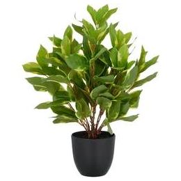 Kunstpflanze Creativ green "Epipremnum aureum", grün, H:40, Kunststoff, Kunstpflanzen, mit schönem Blattwerk