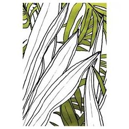 Bild Komar "Bleached Leaves", grün (farbe bild(er): grün, weiß), B:30cm H:40cm, Holz, Papier, Bilder, Wandbild zur Dekoration - ohne Rahmen