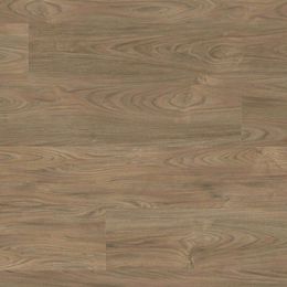 HARO Laminat TRITTY 200 Aqua TC Gran Via 4V Ulme Vario authentic soft, Standard
