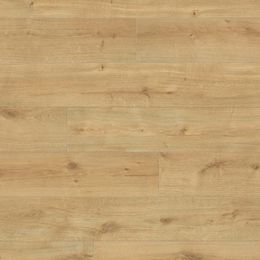 HARO Laminat Landhausdiele Sonderedition NKL31 TC Eiche Siena puro strukturiert matt, Standard