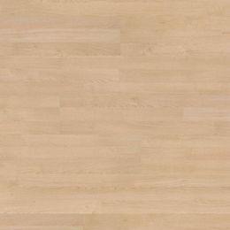HARO Laminat Sonderedition NKL31 TC 3-Stab Ahorn strukturiert matt, Standard