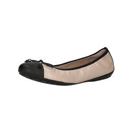 Caprice Ballerina in BEIGE COMB | Gr.: 38