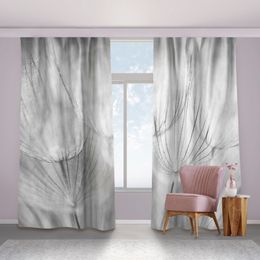 Vorhang Pusteblumen Makroaufnahme in Schwarz Weiß - blickdichte Gardine Blumen Floral Schwarz-Weiß Wohnzimmer Schlafzimmer Küche Bad Badezimmer