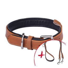 pawberry Set Gassi L-XL Hundehalsband + Hundeleine Melun