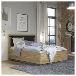 Bettgestell FORTE "Belastbarkeit 240 KG, gepolstertes Kopfteil in moderner Optik", braun (waterford eiche, schwarz, waterford eiche, schwarz, waterford eiche, schwarz), B:149,4cm H:108,7cm L:198,3cm, Betten