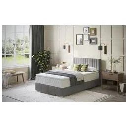Boxbett Inosign "Thor mit Bettkasten, inkl. Matratze, Topseller", grau (velvet 17 elephant), B:126cm L:208cm, Komplettbetten, Boxspringbett, Topper und Zierkissen, in verschiedenen Härtegraden verfügbar