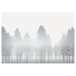 Vliestapete Komar "Digitaldruck Vlies - Silver Haze - Größe 400 x 280 cm", weiß (silber, weiß, grau), B:400 L:280, Vlies, Tapeten, Wohnzimmer, Schlafzimmer