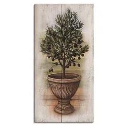 Leinwandbild Artland "Olivenbaum mit Holzoptik", grün (farbe bild(er): grün), B:30cm H:60cm, Canvas, Leinwand, Bilder, auf Keilrahmen gespannt