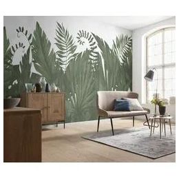 Fototapete Komar "Digitaldruck Vlies - Botanic Harmony - Größe 500 x 250 cm", grün (grün,weiß), Rollen:, Vlies, Tapeten, Wohnzimmer, Schlafzimmer