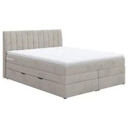 Boxspringbett COTTA "Shark inkl. Bettkasten und Topper", grau (elephant), B:186cm L:212cm, 100% POLYESTER (PES), Komplettbetten, erhältlich in den Breiten 140x200cm, 160x200cm und 180x200cm, Topseller