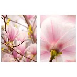 Bild CREATIV HOME "Magnolien", rosa (farbe bild(er): rosa), B:30cm H:40cm T:2cm, Leinen, Bilder, 2er Set