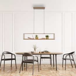 Paul Neuhaus Contura Pendelleuchte, LED, 2441-39,