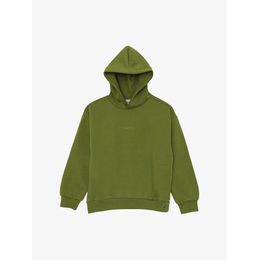 ICEBERGS Sweatshirt Jungen Gr&ouml;&szlig;e 152 oliv