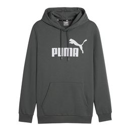 Puma Essentials Big Logo Hoody Grau F069, Größe L, Herren, Bekleidung - 11teamsports