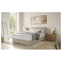 Boxbett Inosign "Thor mit Bettkasten, inkl. Matratze, Topseller", beige (aqua clean pascha 02 natur), B:146cm L:208cm, Baumwolle, Polyester, Komplettbetten, Boxspringbett, Topper und Zierkissen, in verschiedenen Härtegraden verfügbar