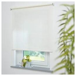 Springrollo Liedeco "Springrollo mit Dekor, lichtdurchlässig, Struktur natur weiß, Liedeco" Gr. 6, beige (naturweiß), B:152cm H:180cm, Kunststoff, Metall, Polyester, Rollos, Dekorrollo Hergestellt in Deutschland