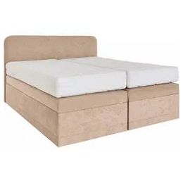 Boxspringbett, beige (dunkelbeige), B:195cm L:212cm, Box und Kopfteil: Microvelours (100% Polyester) oder Kunstleder (Polyurethan);Bezug der Obermatratze: 100% Polyester, Westfalia Schlafkomfort, Komplettbetten, Boxspringbett, wahlweise mit Bettkasten