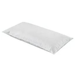 Federkissen Otto Keller "Große Auswahl", weiß, B:80cm L:40cm, Bezug: 100% Baumwolle. Füllung: 85% Gänsefeder, 15% Gänsedaunen, Kopfkissen