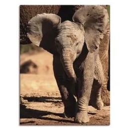 Leinwandbild Artland "Elefantenbaby", braun (farbe bild(er): braun), B:45cm H:60cm T:1,8cm, Canvas, Leinwand, Bilder, auf Keilrahmen gespannt