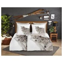 Wendebettwäsche Good Morning "Fera", beige (sand), B/L: 200cm x 200cm, 1 Stk., 2 Stk., Biber, B/L: 80cm x 80cm & 80cm x 80cm, 3 Stk., Biber, Obermaterial: 100% Baumwolle, Bettwäsche, Biber, 135x200, Warm, Weich, Wendeoptik, Reißverschluss, Wolf, Sand