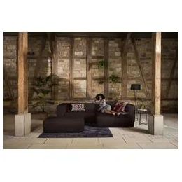 Ecksofa W.Schillig "around-the-block", braun (mocca z69), B:300cm H:66cm T:164cm, Longlife Xtra-Leder Z69: Das feinnarbige, gedeckte Softleder Z69 besticht durch seine außergewöhnliche Weichheit im trendigen »Vintage-Look«, Hautstärke 0, 9 - 1, 1 mm;Longlife fabric Flachgewebe T88 (100% Polyester), Sofas, inklusive Hocker, mit eleganter Biese, mit Federkern