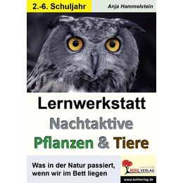 Kohl Verlag Lernwerkstatt Nachtaktive Tiere und Pflanzen