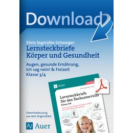 Auer Verlag Lernsteckbriefe Körper und Gesundheit: Augen, gesunde Ernährung, Ich sag nein! & Freizeit Klasse 3/4