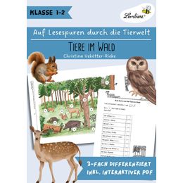 Lernbiene Lesespurgeschichte: Tiere im Wald