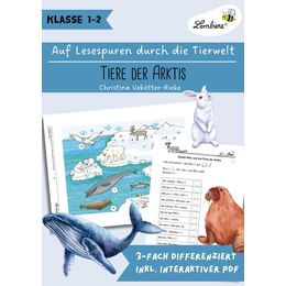 Lernbiene Lesespurgeschichte: Tiere der Arktis