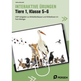Persen Verlag Interaktive Übungen: Tiere 1, Kl. 5-6