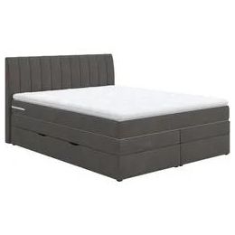 Boxspringbett COTTA "Shark inkl. Bettkasten und Topper", grau (dunkelgrau), B:166cm L:212cm, 100% POLYESTER (PES), Komplettbetten, erhältlich in den Breiten 140x200cm, 160x200cm und 180x200cm, Topseller