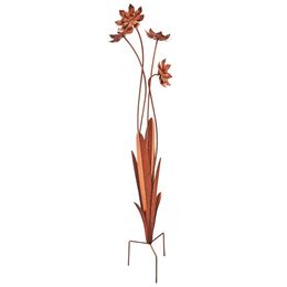 kobolo Dekostecker WILDFLOWER100 in Braun | Gr.: onesize
