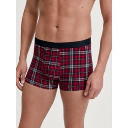 Calida New Boxer in rio red | Gr.: S