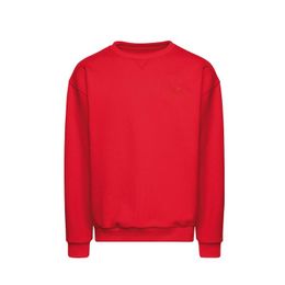 TRIGEMA Sweatshirt »Basic Sweatshirt mit weicher Innenseite« vulcano XL XL Sweat-Qualität, innen angeraut