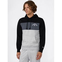 Champion Authentic Athletic Apparel Sweatshirt male Grey, Black size L