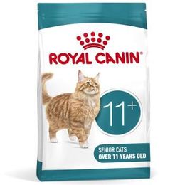 Royal Canin Trockenfutter Katze, Senior, Ageing 11+ 2x4 kg
